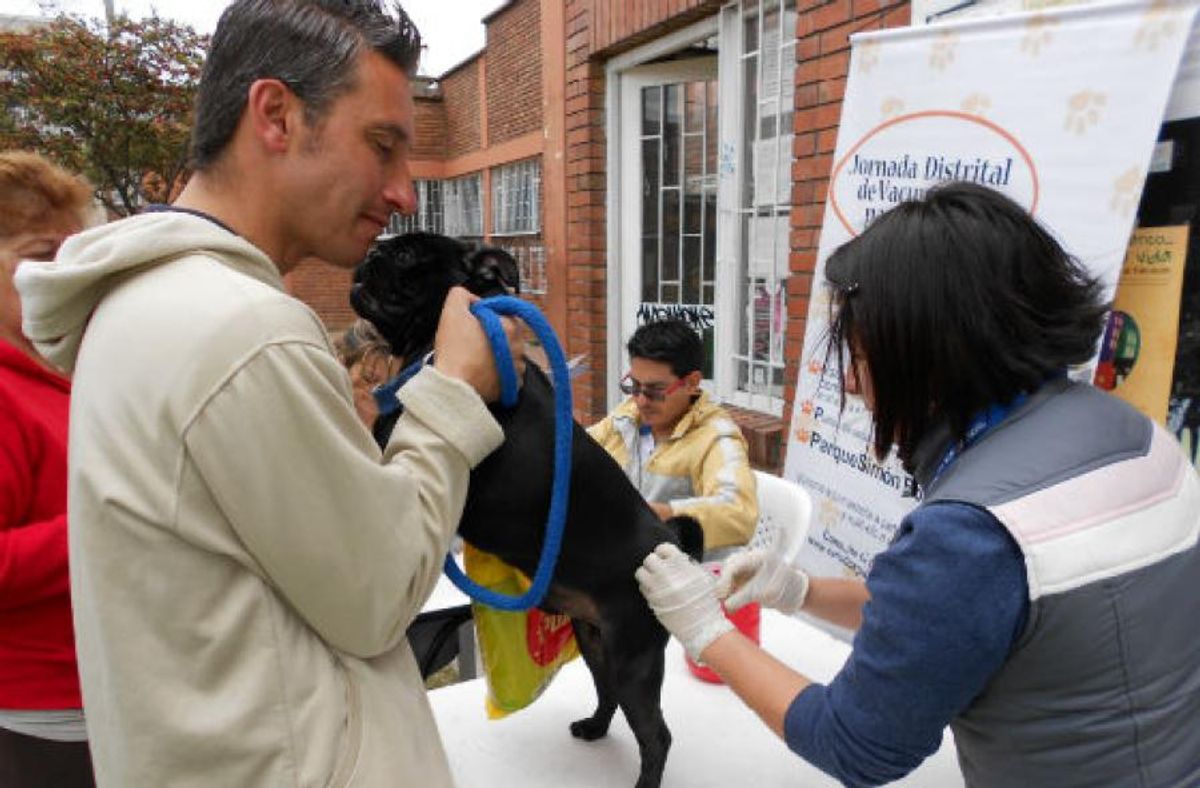 Perro rico, perro pobre - Canal 1