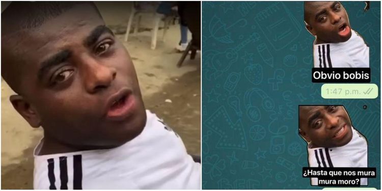 La historia de "Obvio bobis", el video viral en redes - Canal 1