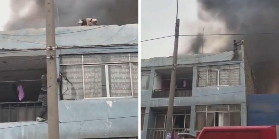 Hombre salvó a 25 perritos de incendio - Canal 1