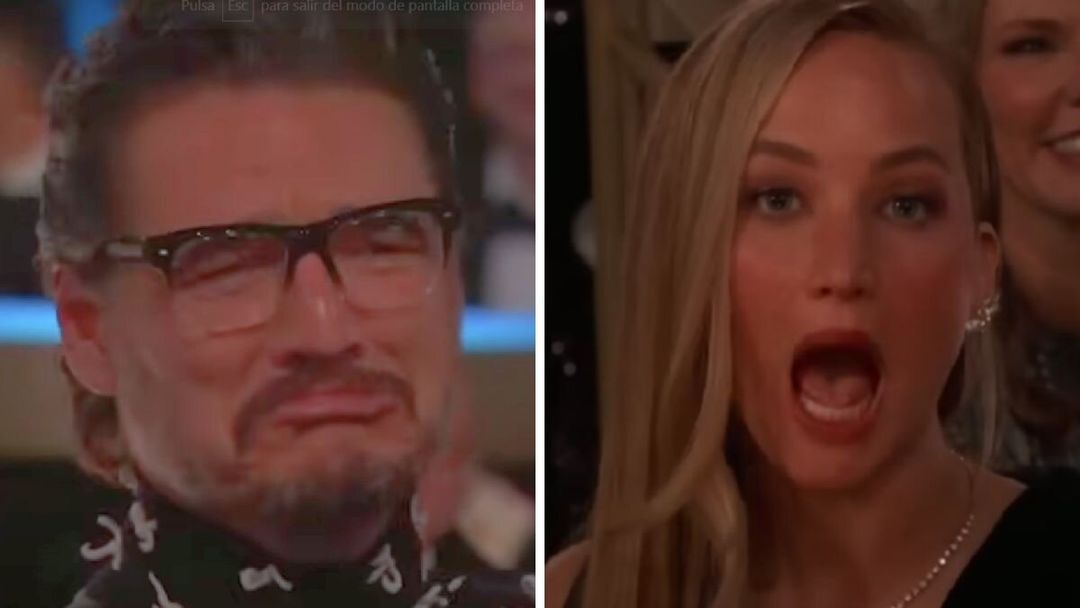 Los 15 memes más divertidos del gato que es viral en redes - Canal 1