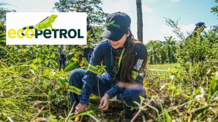 Ecopetrol acelera su compromiso con los Objetivos de Desarrollo Sostenible - Canal 1