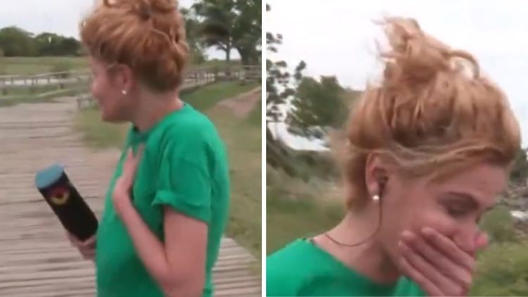 Video ¡de No Creer En Pleno Programa En Vivo Reportera Grabó Una 