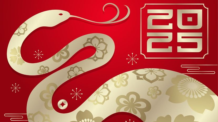 Video | 2025, el año de la serpiente de madera en el horóscopo chino ...